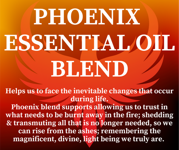 Phoenix - Aromatherapy - Essential Oil Synergy Blend – Heartwood Essence