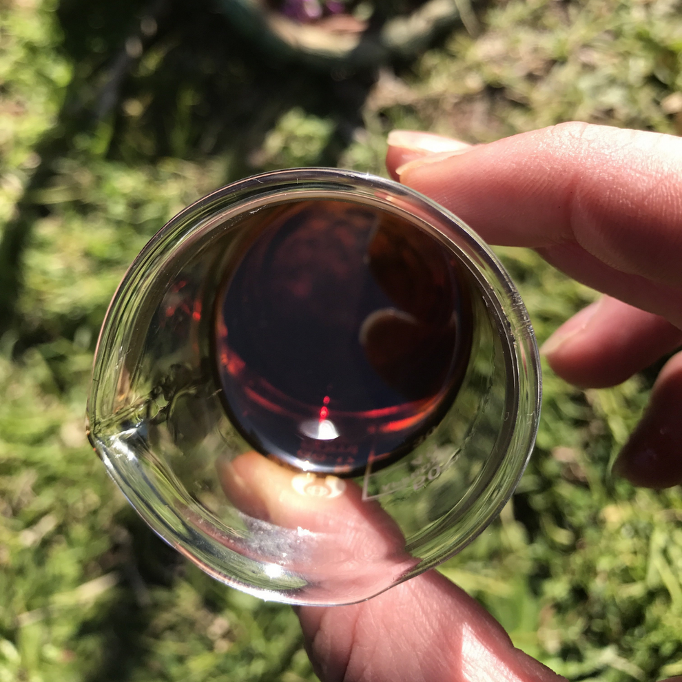 Peru Balsam Rectified Essential Oil - 15ml – Heartwood Essence