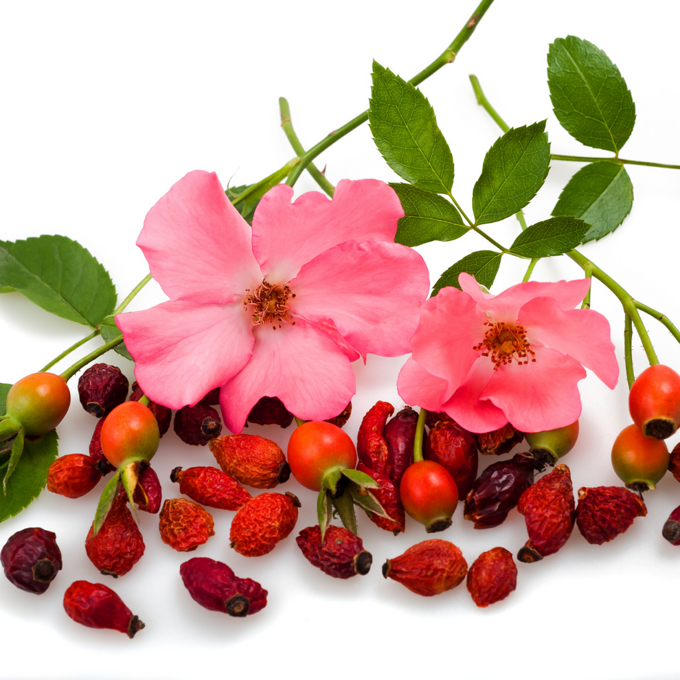 Rosehip Shells - Certified Organic - 50gm – Heartwood Essence